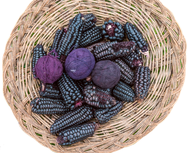 Antioxidant Peruvian Purple Corn extract 30:1 – Purple Superfoods